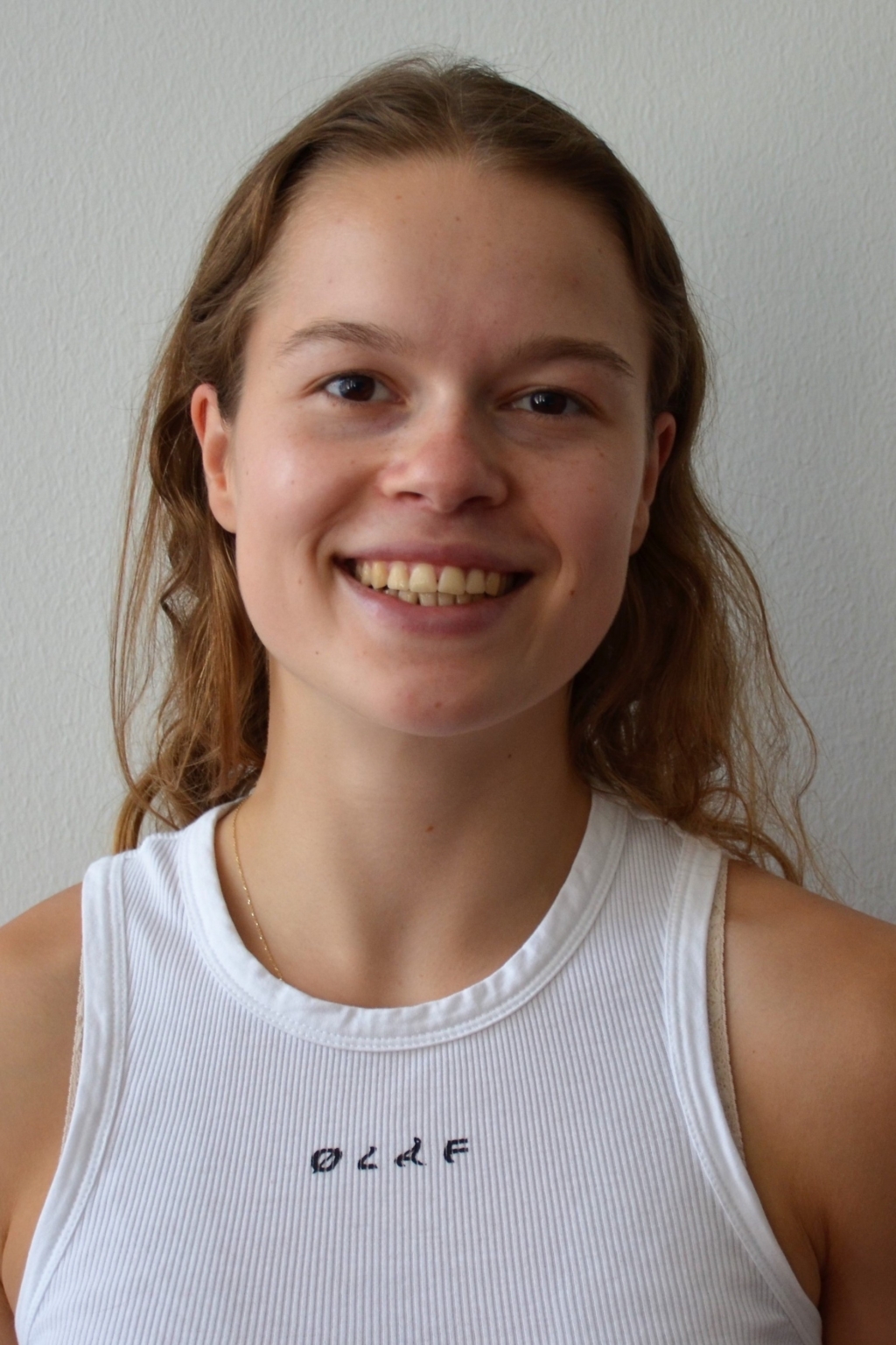 "Are we all in the same boat?” Customizable and Evolving Avatars in Online Crowd Work - CHI NL